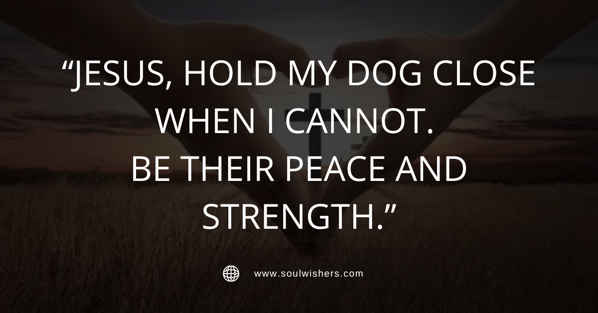 30+ Powerful Prayers For Dogs